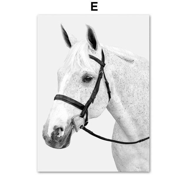 Tableau Cheval – Cadeau Cheval